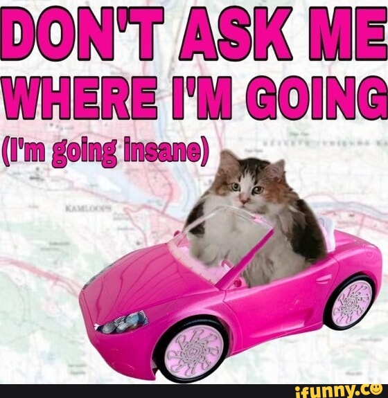 Picture memes uM3DJNCp7 by M00NKING: 109 comments - iFunny