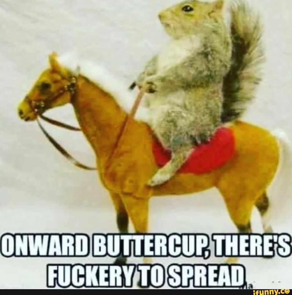 Cheer Up Buttercup Meme