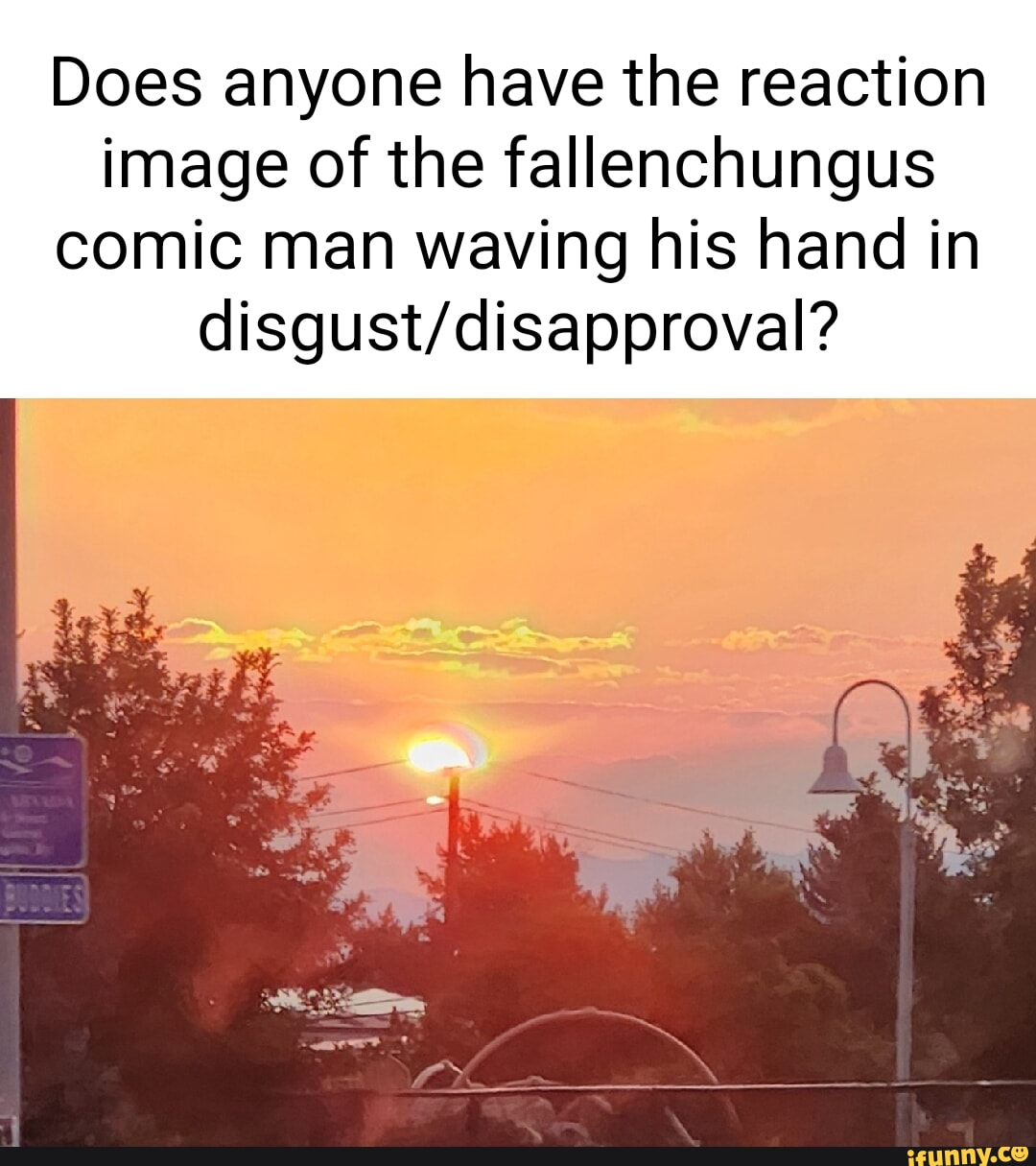 Does anyone have the reaction image of the fallenchungus comic man ...