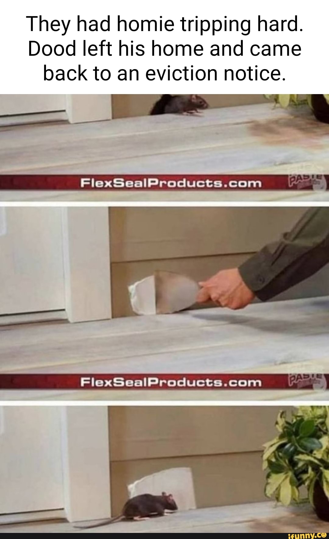 Eviction memes. Best Collection of funny Eviction pictures on iFunny