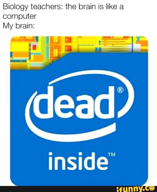 Biology teachers: the brain is like a computer My brain: co inside ...