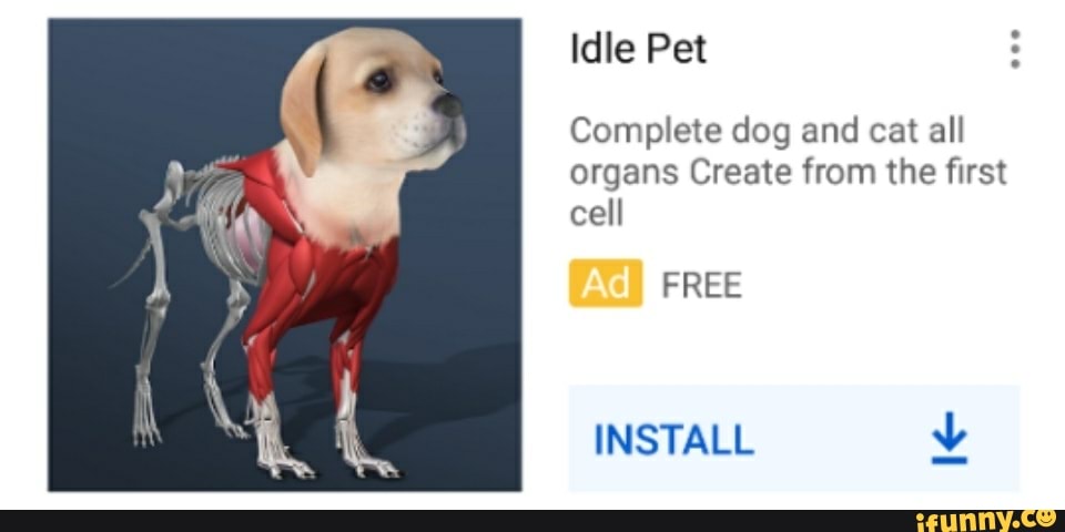 Idle Pet Complete dog and cat all organs Create from the first cell ...