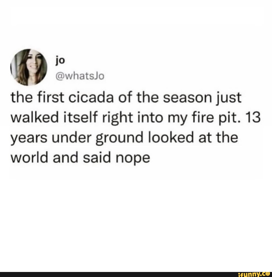 Cicada memes. Best Collection of funny Cicada pictures on iFunny