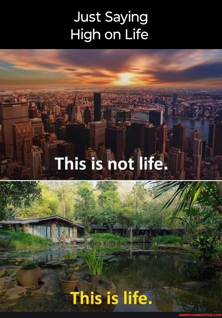 Just Saying High on Life This is not life. This is life. - America’s ...