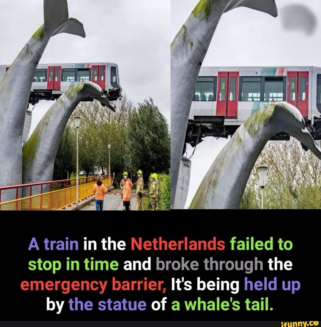 Barrier memes. Best Collection of funny Barrier pictures on iFunny