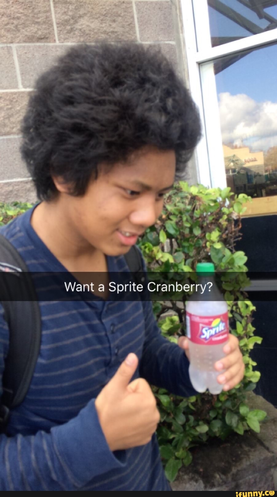 Spritecranberrygang memes. Best Collection of funny Spritecranberrygang ...