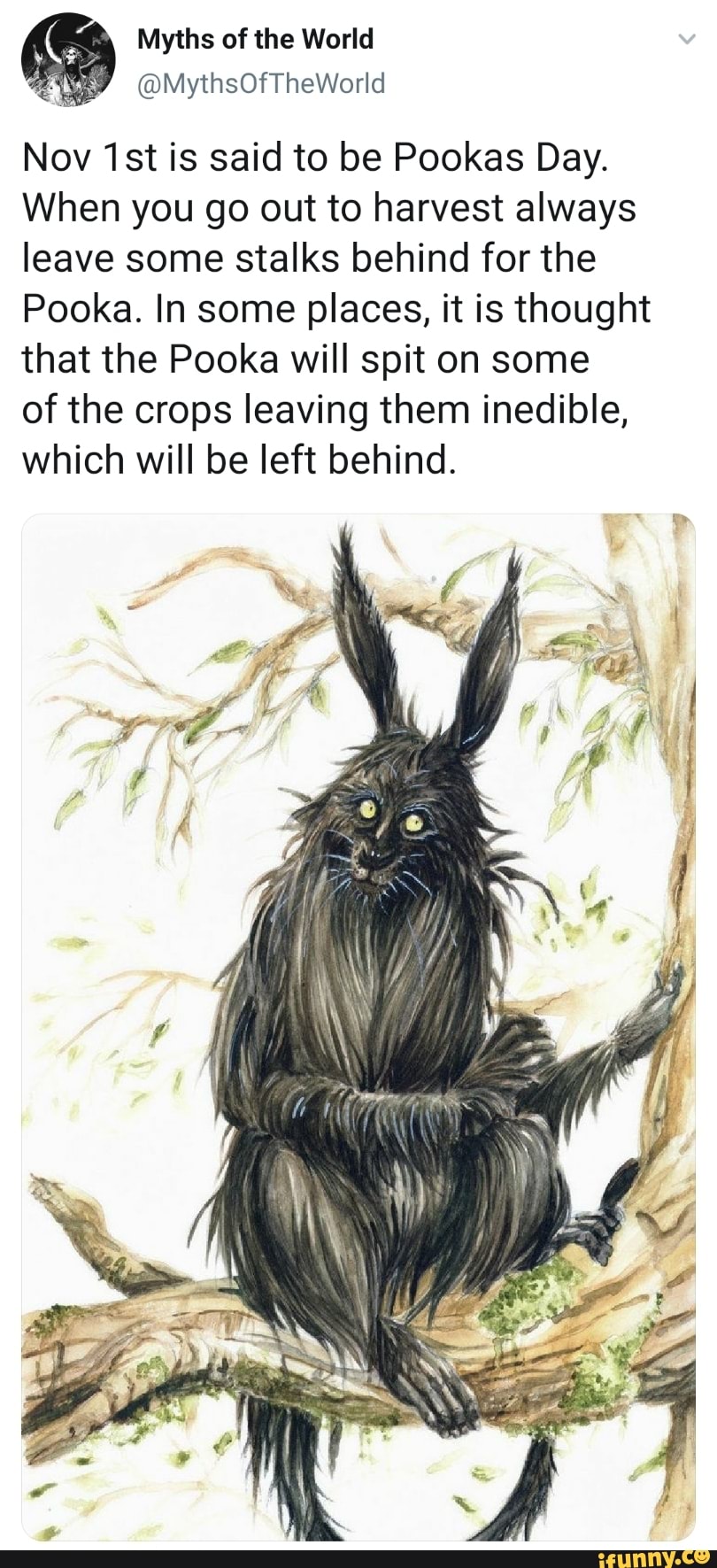 Irishmythology memes. Best Collection of funny Irishmythology pictures ...