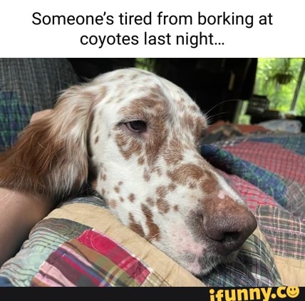 Boring Saturday Night Memes