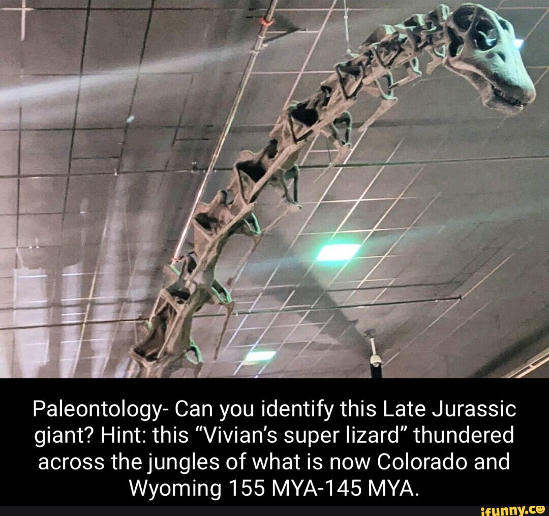 Paleontology- Can you identify this Late Jurassic giant? Hint: this ...
