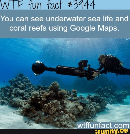 @MRIAMESGIFFORD BRONNTANAS BLADE +1 LONGSWORD, 108 SLASHING, (FINESSE ...