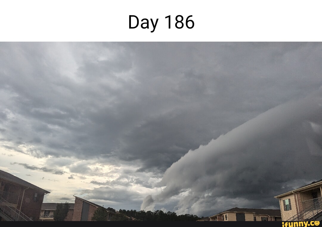 Stormy memes. Best Collection of funny Stormy pictures on iFunny