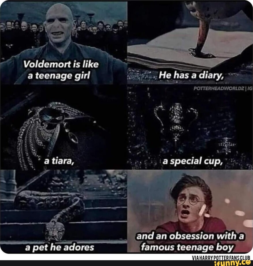 Voldemort Is Like A Teenage Girl He Hos Diary Potterheadworldz Cup An Obsession With Viaharry