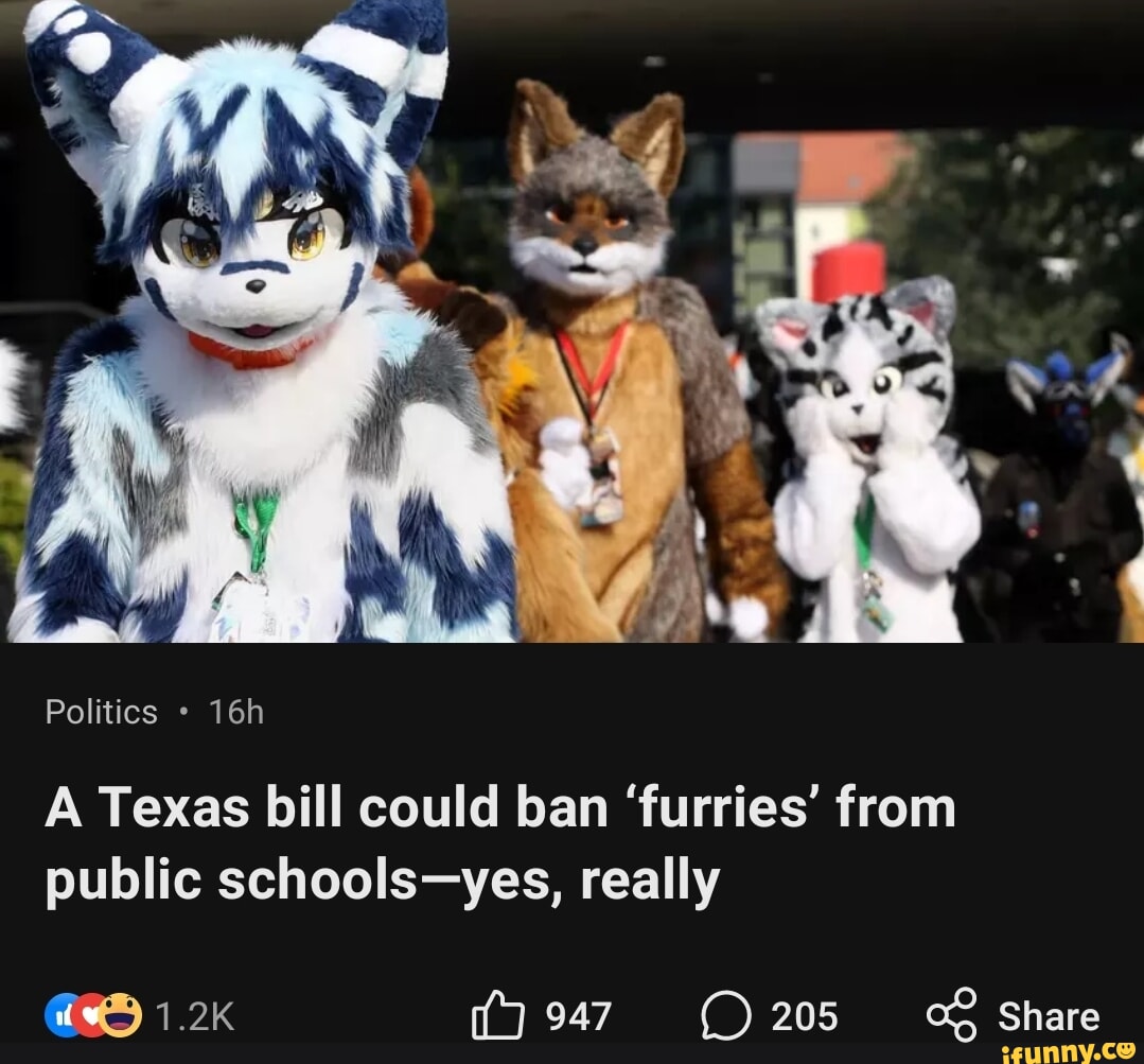 Politics A Texas bill could ban 'furries' from public schools-yes ...