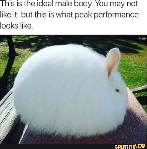 This IS the ideal male body. You may not like it, but this is what peak ...