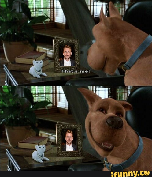 Ascot memes. Best Collection of funny Ascot pictures on iFunny