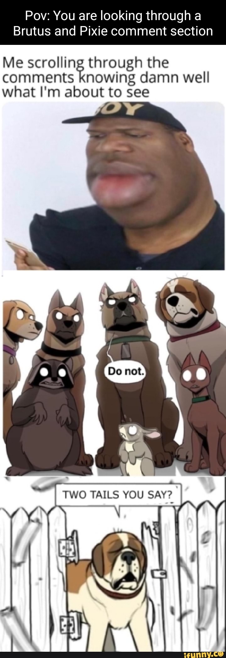 Section8 memes. Best Collection of funny Section8 pictures on iFunny