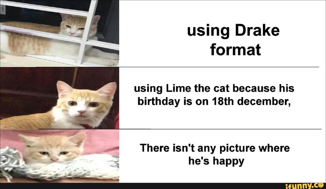 Using Drake format using Lime the cat because his birthday is on 18th ...