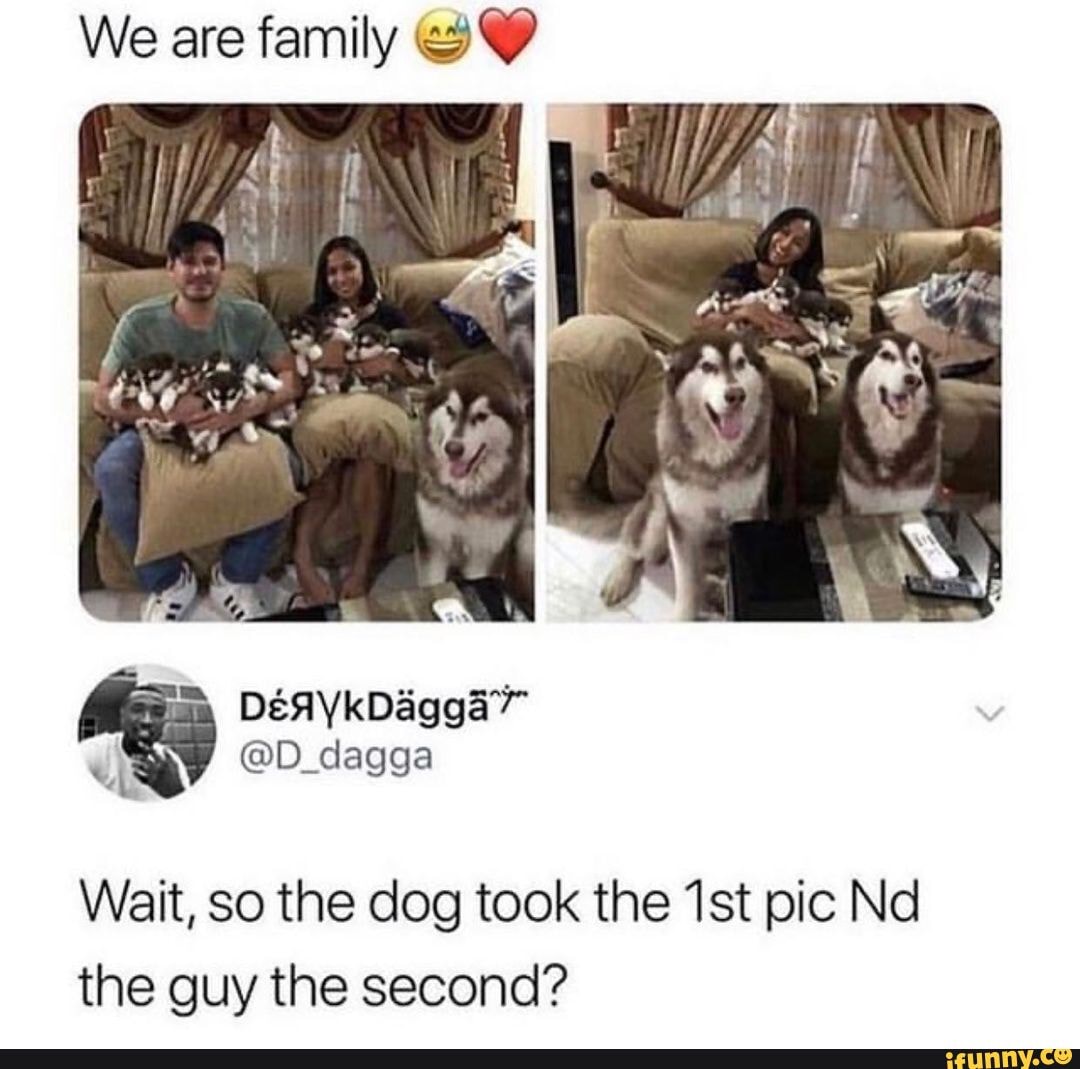 Video memes cT95Mbfd8 by Gonkdroid295: 4 comments - )