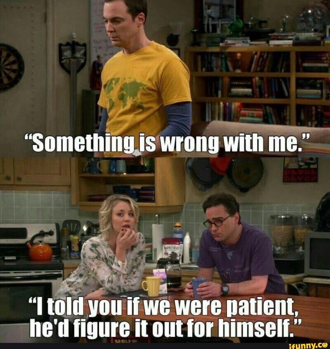 Shed memes. Best Collection of funny Shed pictures on iFunny