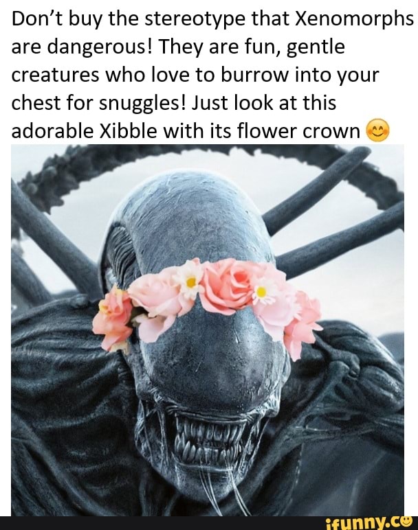 Xenomorphs memes. Best Collection of funny Xenomorphs pictures on iFunny