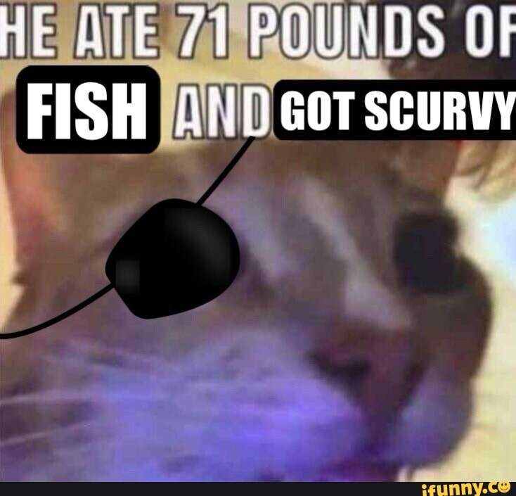 Scurvy memes. Best Collection of funny Scurvy pictures on iFunny