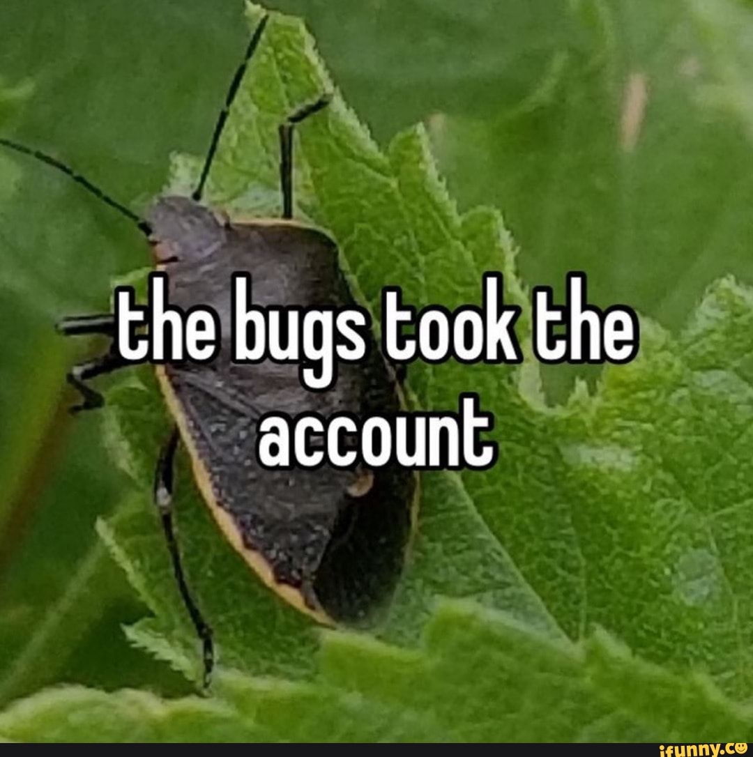 The bugs took the account - iFunny