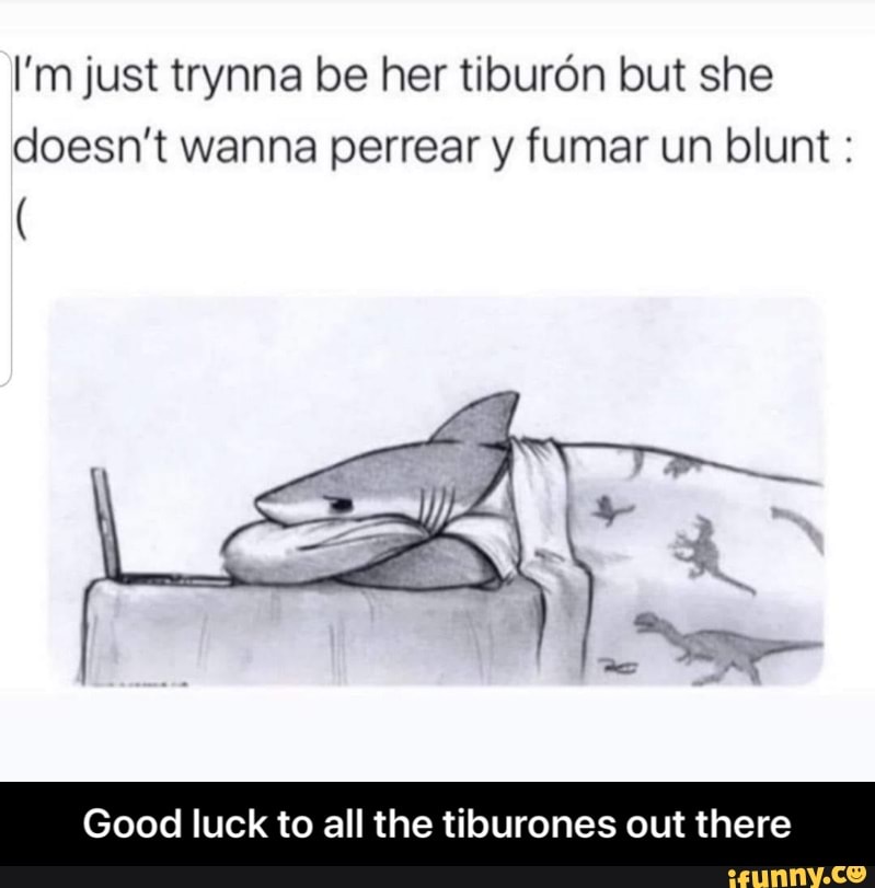 Tiburones memes. Best Collection of funny Tiburones pictures on iFunny
