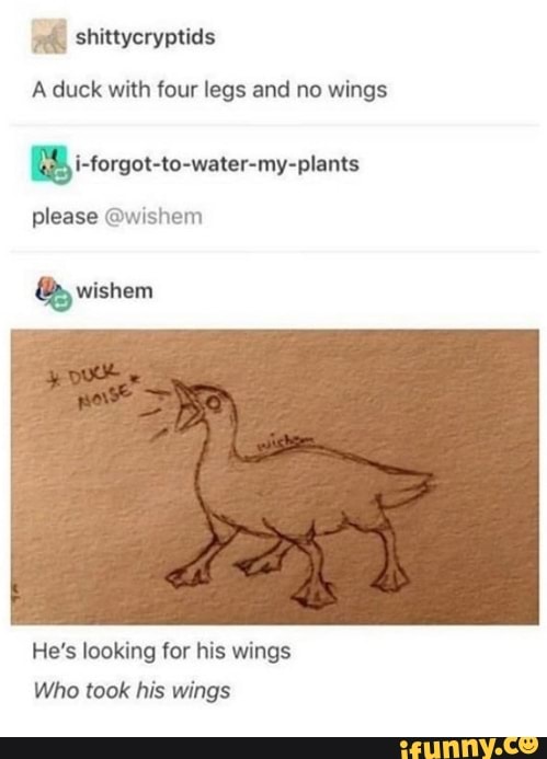 A duck with four legs and no wings He's looking 'or his wings Who took ...