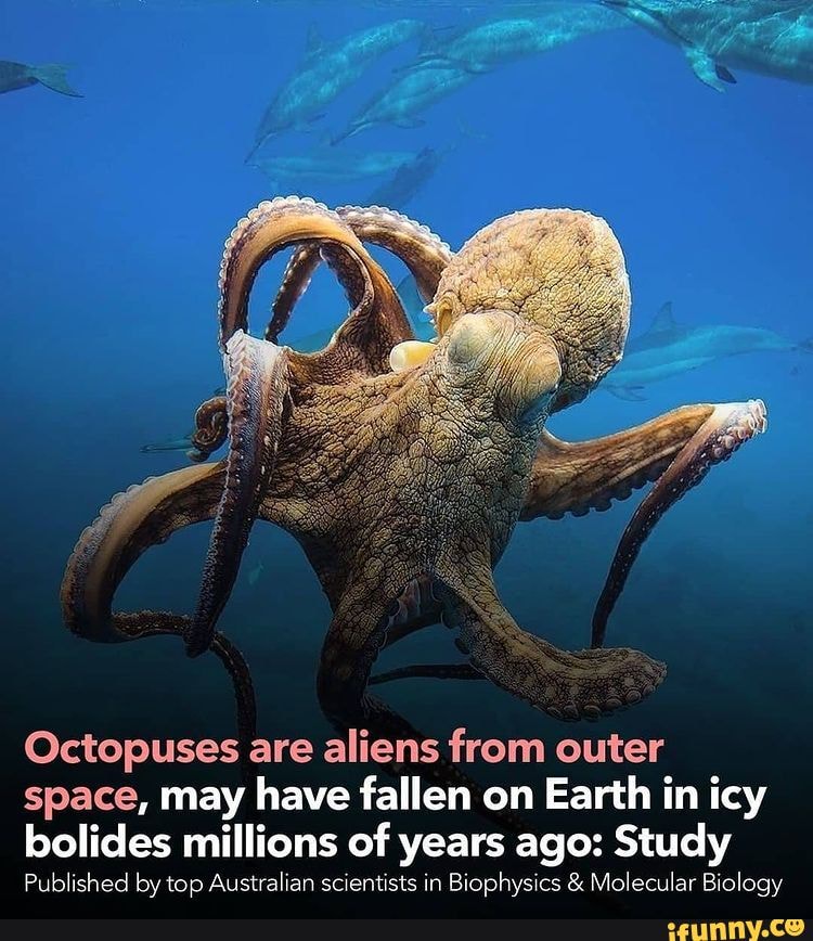 Biophysics memes. Best Collection of funny Biophysics pictures on iFunny