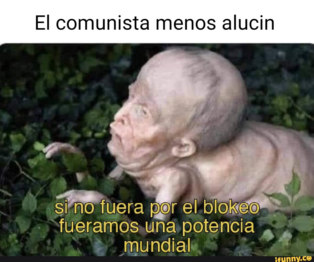 Fuera memes. Best Collection of funny Fuera pictures on iFunny