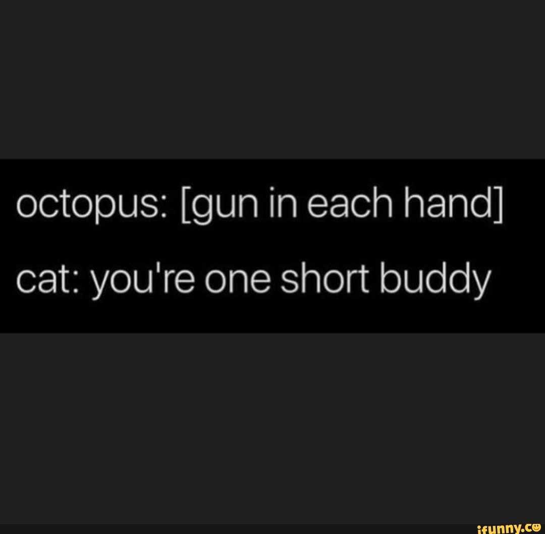 Octopus: [gun in each hand] cat: you're one short buddy - iFunny