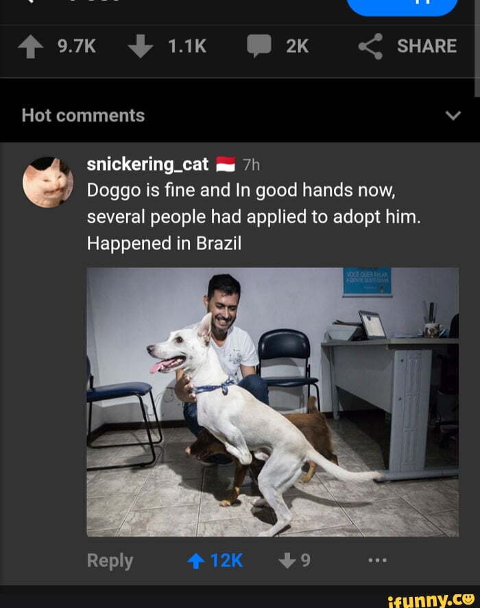 Hot comments snickering_cat ms SHARE Doggo is fine and In good hands ...