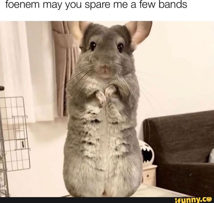 Foenem memes. Best Collection of funny Foenem pictures on iFunny