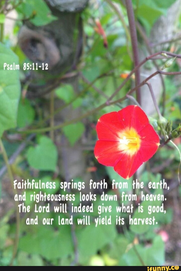 Psoim faithfulness springs forth from the earth, and righteousness ...