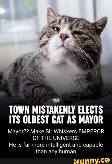 TOWN MISTAKENLY ELECTS ITS OLDEST CAT AS MAYOR Mayor?? Make Sir ...