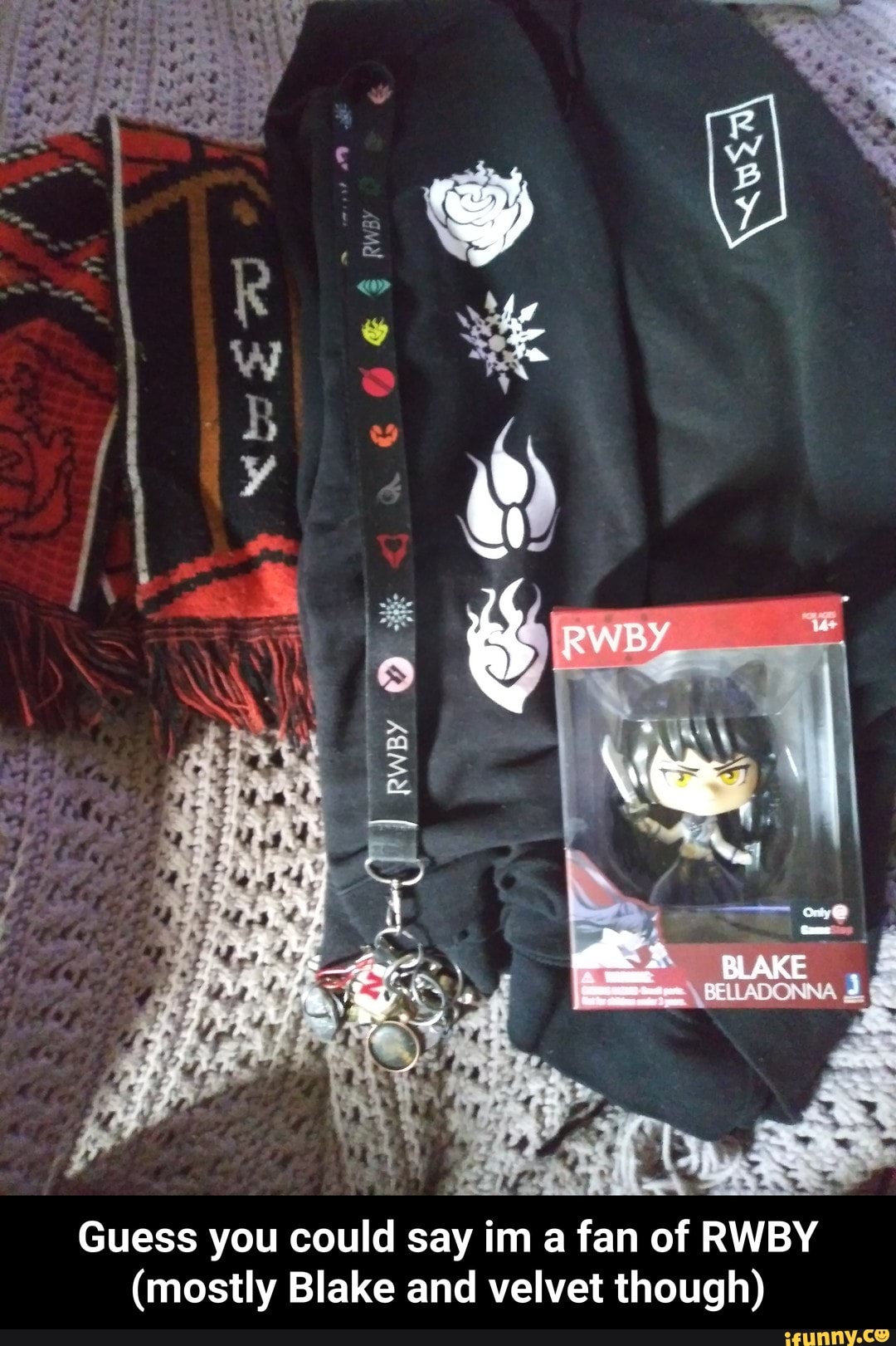 Guess you could say im a fan of RWBY (mostly Blake and velvet though ...