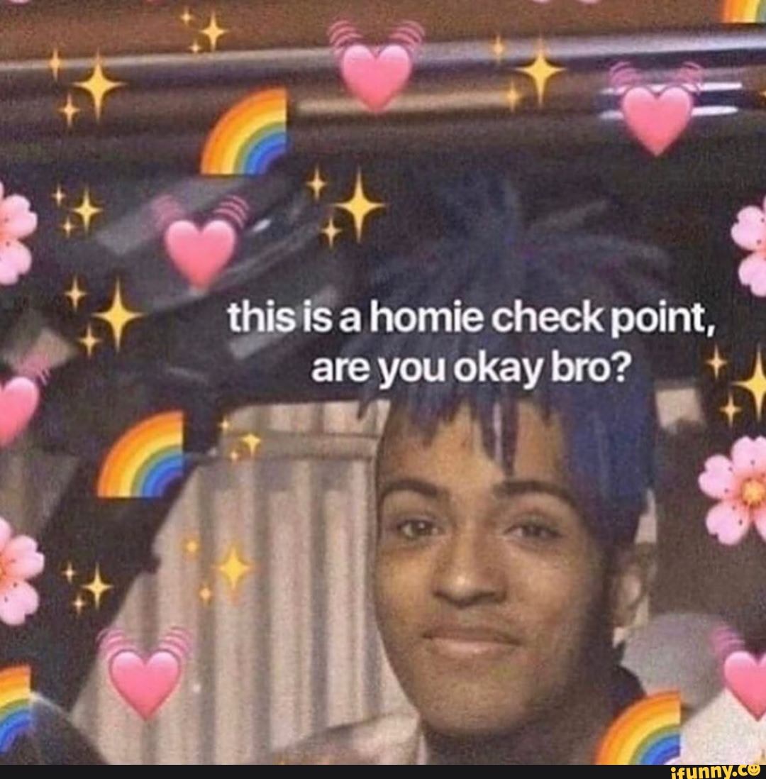 Thisis a homie check point, are youokaybro? - iFunny