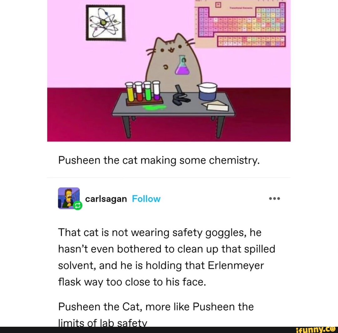 Pusheen memes. Best Collection of funny Pusheen pictures on iFunny