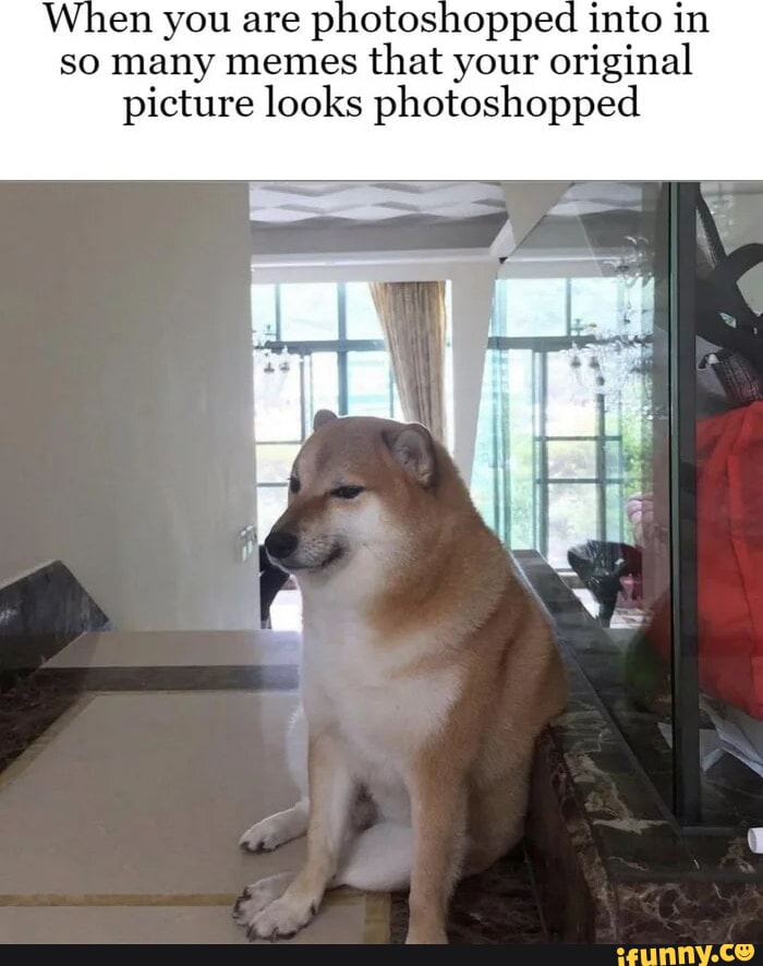 Photoshopped memes. Best Collection of funny Photoshopped pictures on ...
