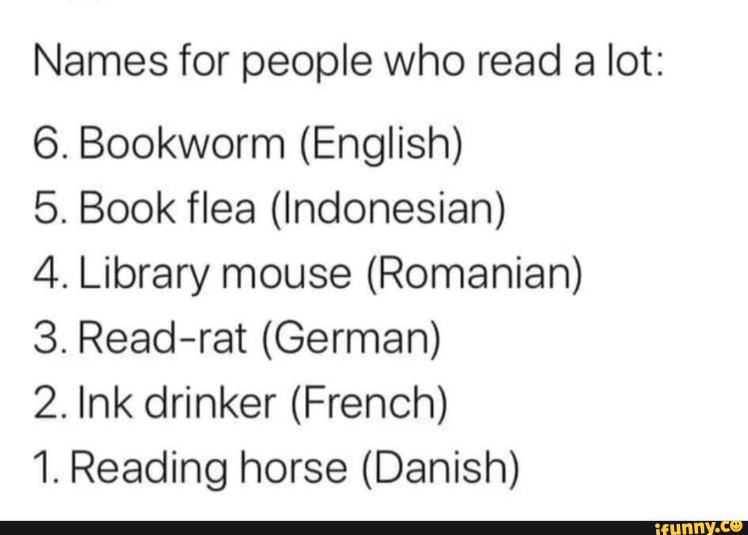 Bookworm memes. Best Collection of funny Bookworm pictures on iFunny