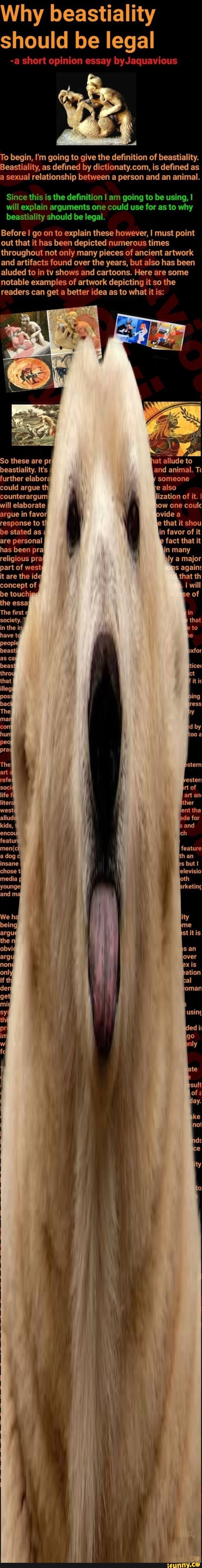 Dictionaty memes. Best Collection of funny Dictionaty pictures on iFunny