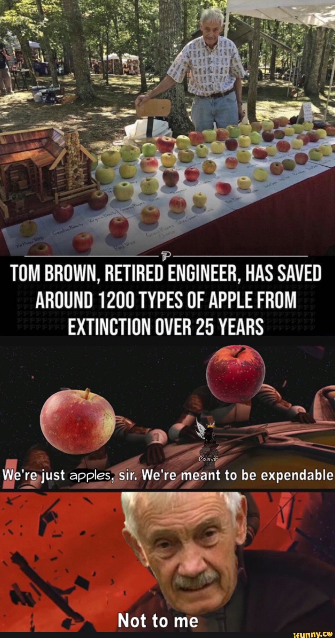 TOM BROWN, RETIRED ENGINEER, HAS SAVED AROUND 1200 TYPES OF APPLE FROM EXTINCTION OVER 25 YEARS ...