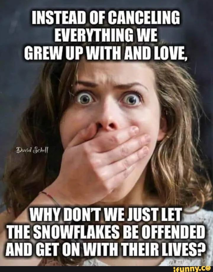 INSTEAD OF CANCELING EVERYTHING WE GREW UP. WITH AND LOVE, David Schell ...