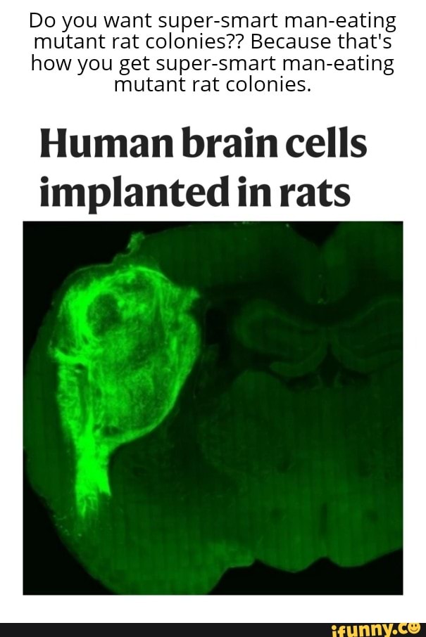 Do you want super-smart man-eating mutant rat colonies?? Because that's ...