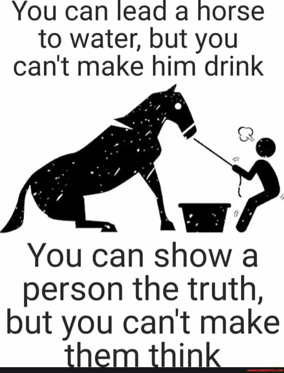 You can lead a horse to water, but you can't make him drink You can ...