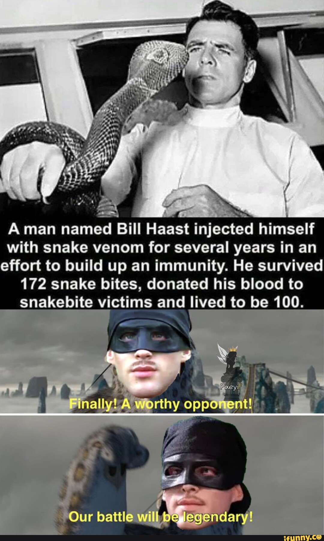 A man named Bill Haast injected himself elf with snake venom for ...