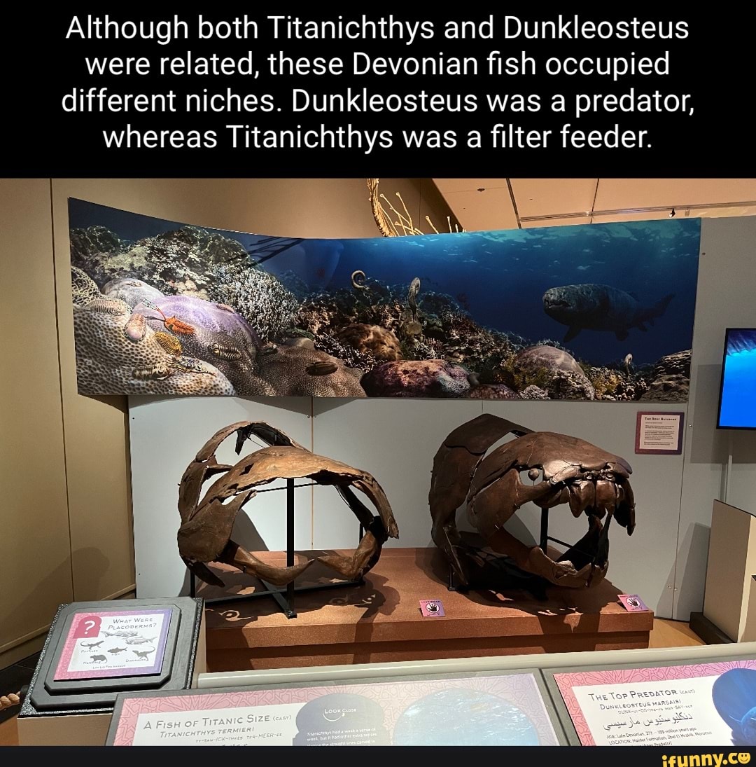 Dunkleosteus memes. Best Collection of funny Dunkleosteus pictures on ...