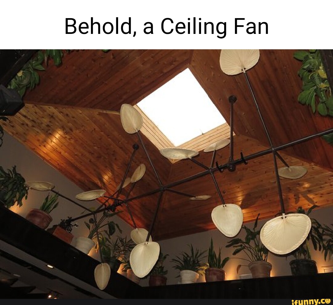 Ceiling memes. Best Collection of funny Ceiling pictures on iFunny