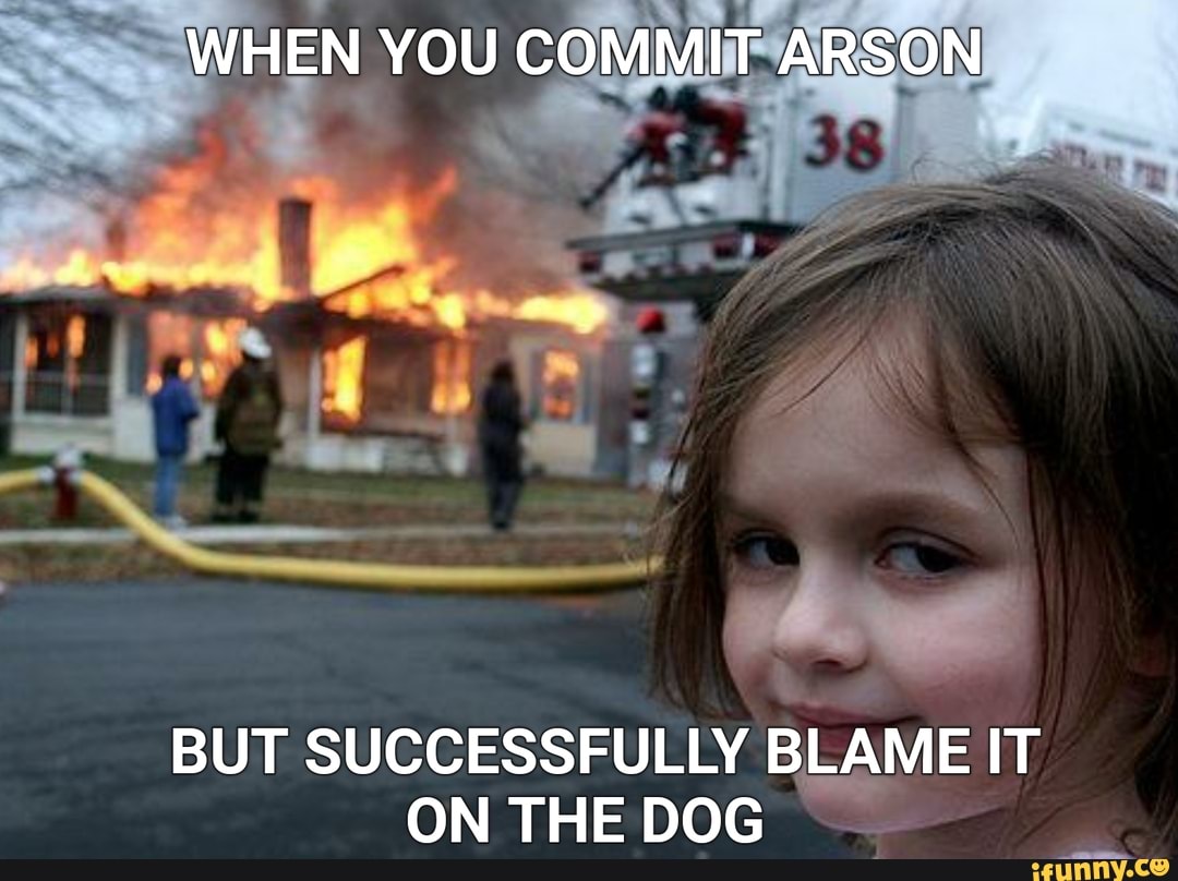 WHEN YOU COMMIT ARSON 38 BUT SUCCESSFULLY BLAME IT ON THE DOG - iFunny