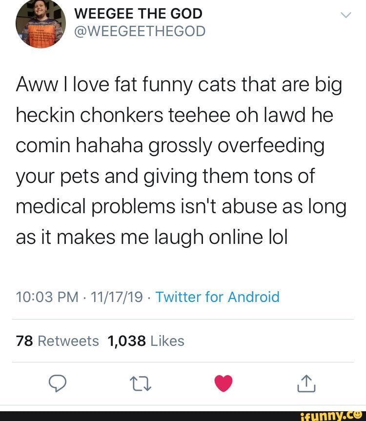 Aww I love fat funny cats that are big heckin chonkers teehee oh lawd ...